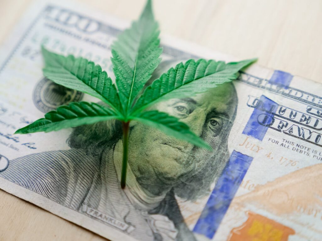 What Was the First State to Legalize Weed?